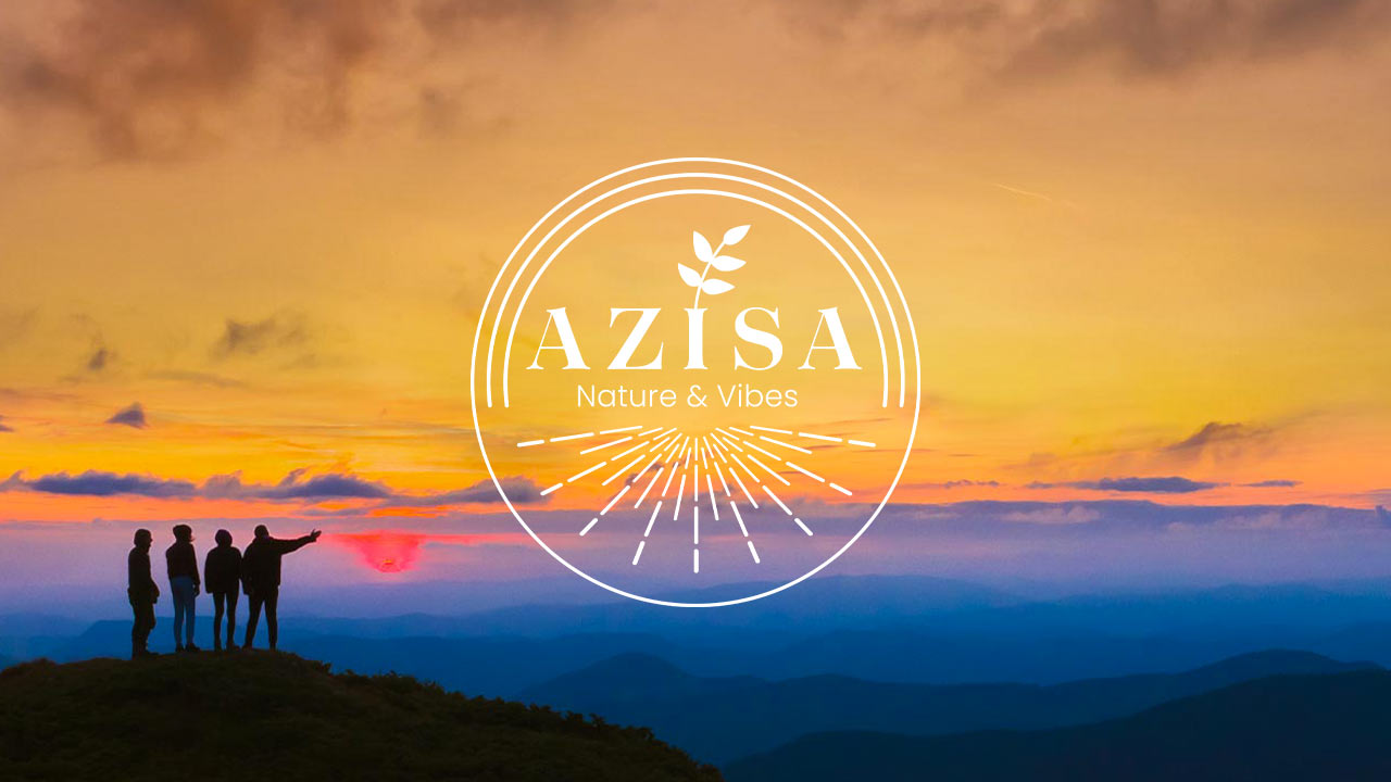 Azisa pour les entreprises